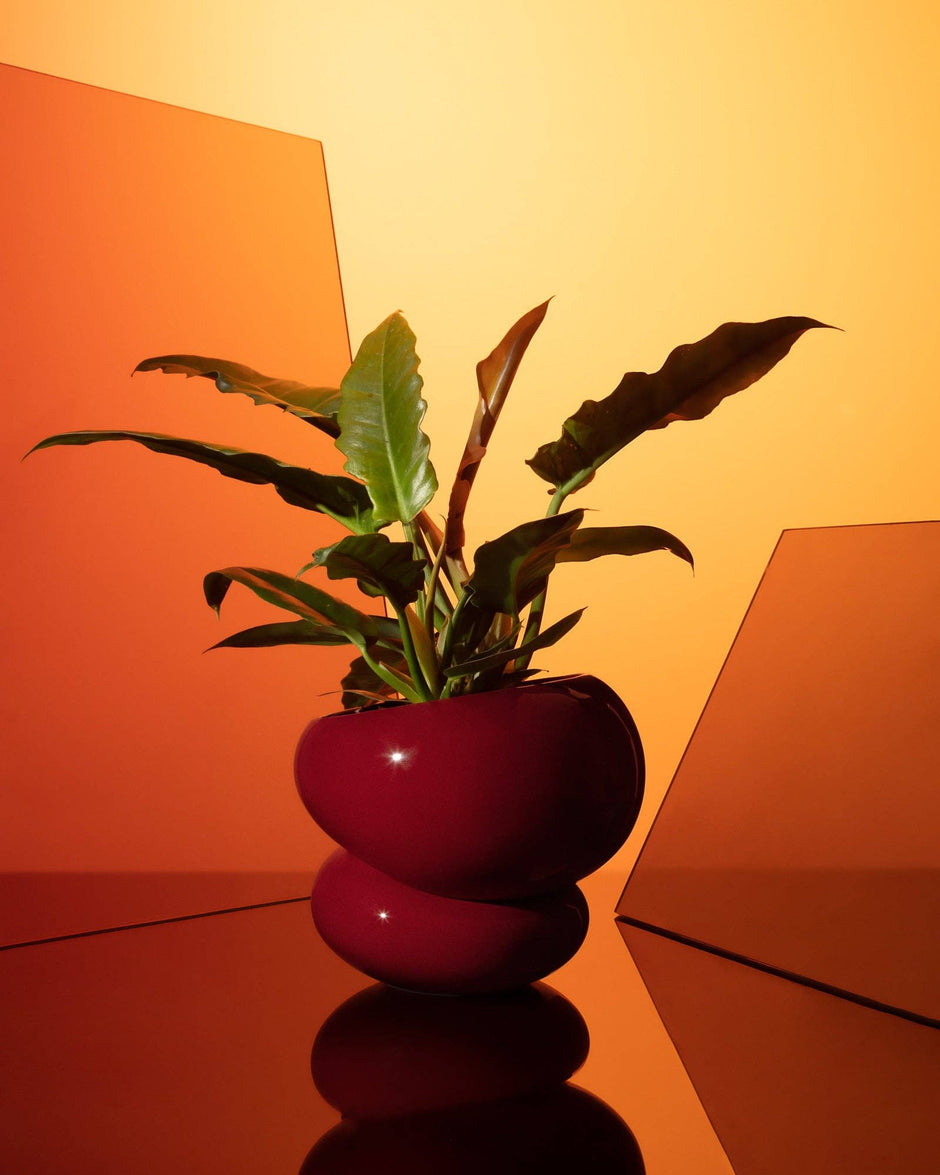 Carefully Curated Eclectic Home Decor – Gumdrop Studios